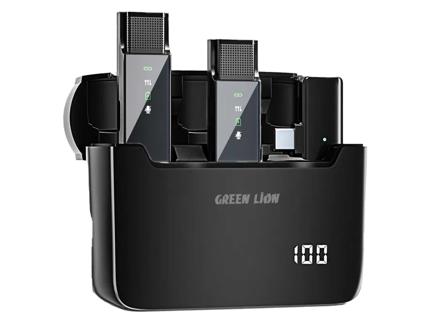 Green Lion 2 in 1 Digital Display Microphone (Type-C) - Best Prices ...